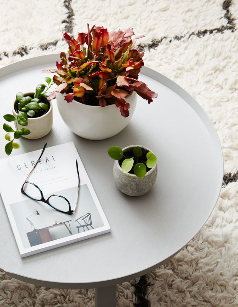 How To Style Your Home With Indoor Plants | Our Top Five Tips | Hunting ...